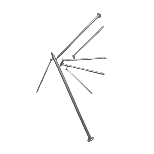 Polished common wire nails - SmallSteelSolution